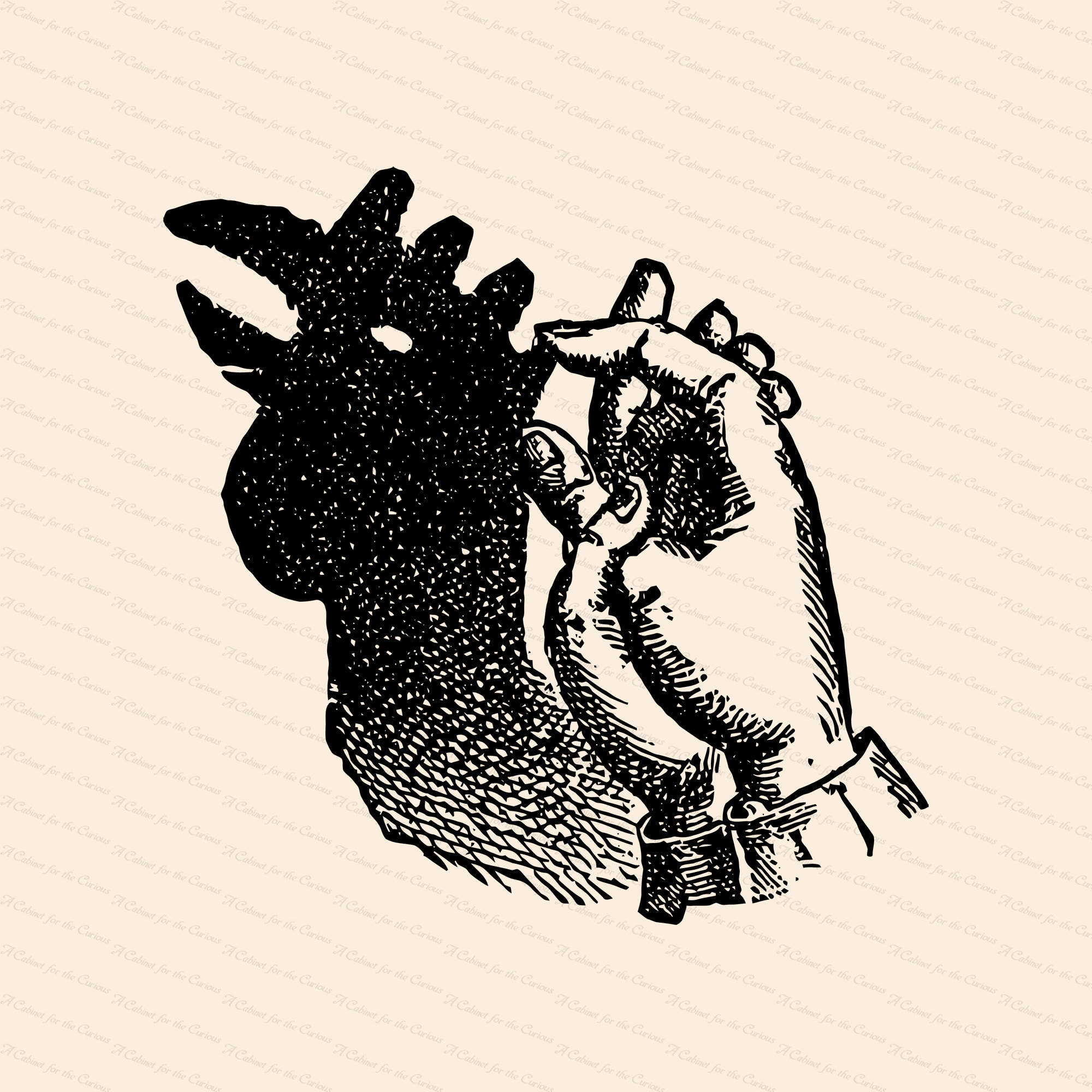 Vintage Victorian Shadow Puppet | 1890s Rooster Shadow Vector Clipart ...