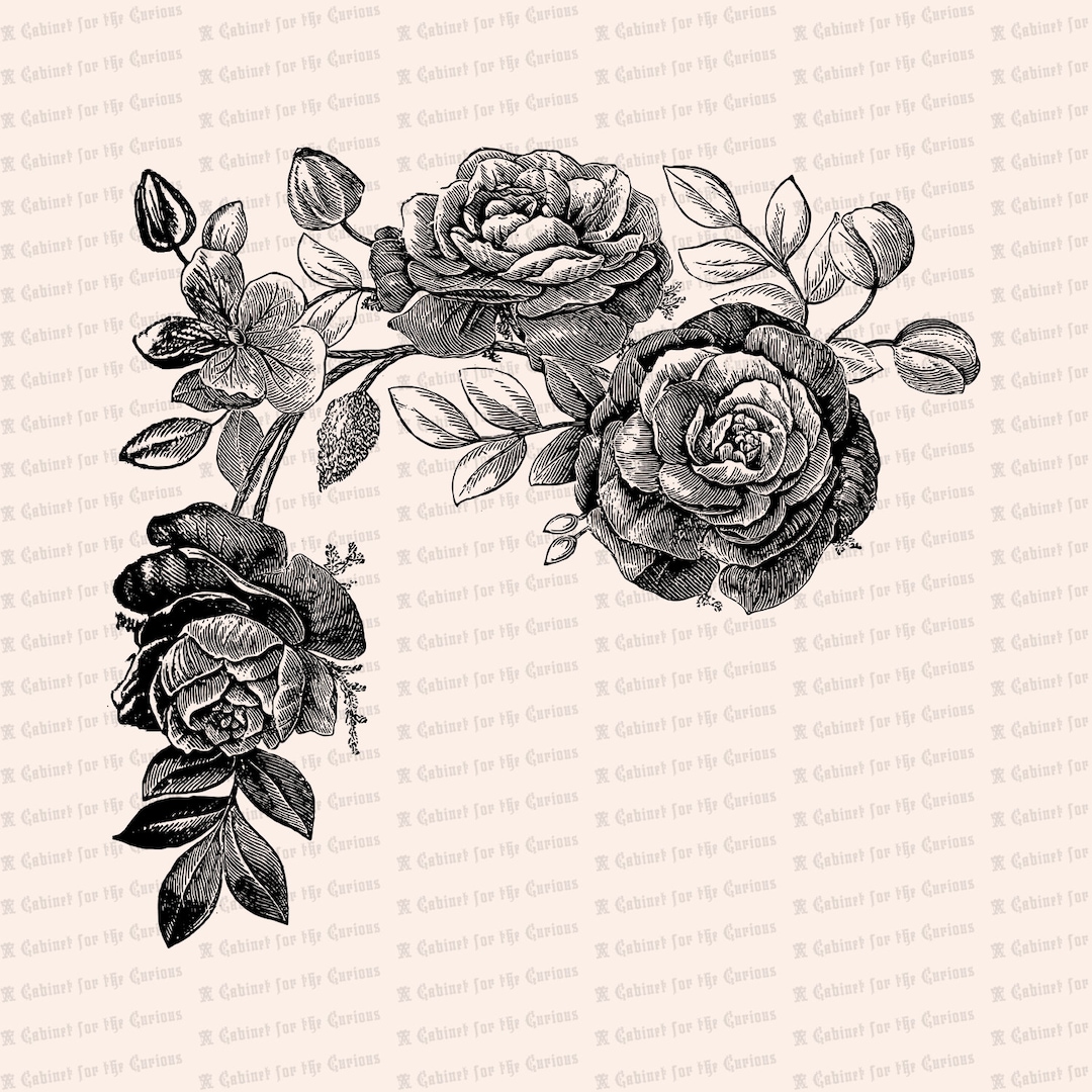 Victorian Roses Vector Clip Art | Vintage Floral, Flower | Instant ...