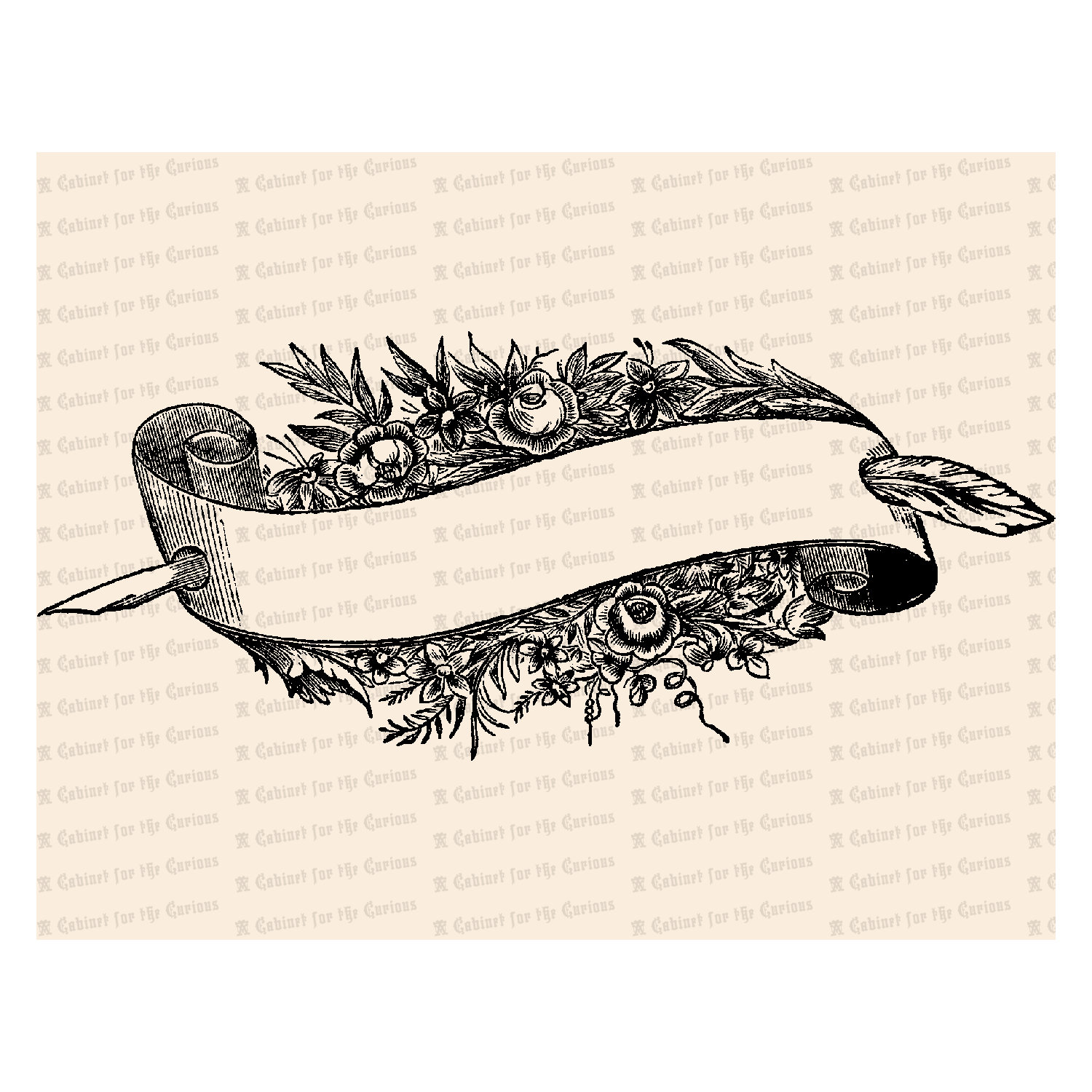 Fancy Victorian Floral Blank Banner With Quill Vector Clip Art ...