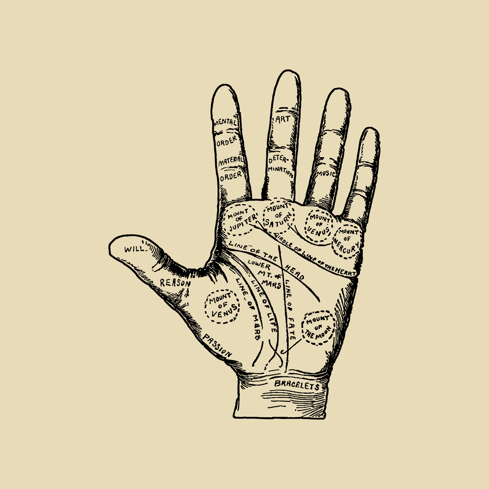 Antique Digital Palmistry Hand Vector Clipart | Vintage Chiromancy Palm ...