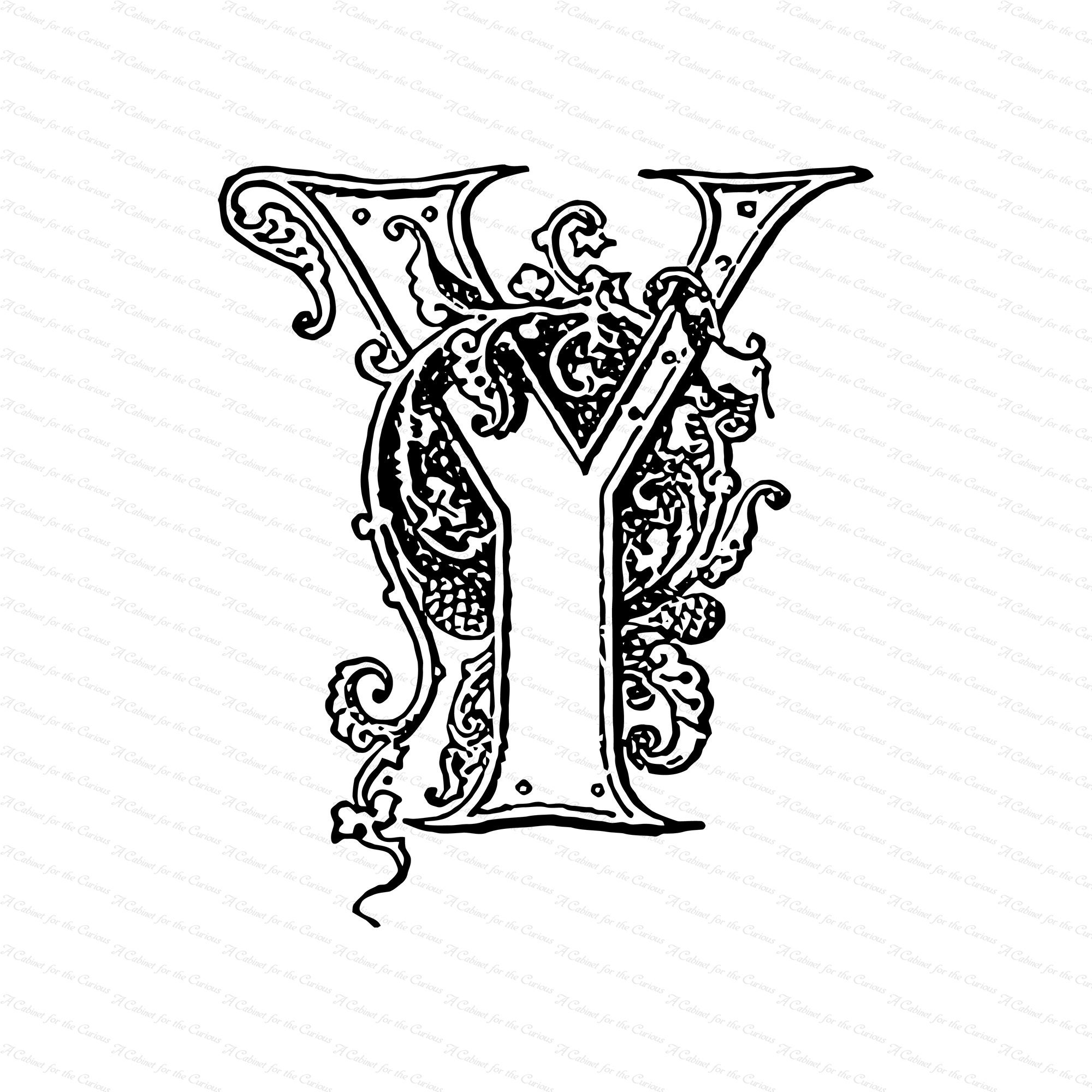 Ornamental Penwork Initial Letter Y Vector Clipart | Vintage Edwardian ...