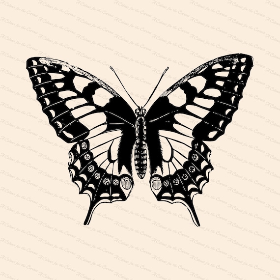Victorian Swallow Tailed Butterfly Papilio Machaon Vector Etsy