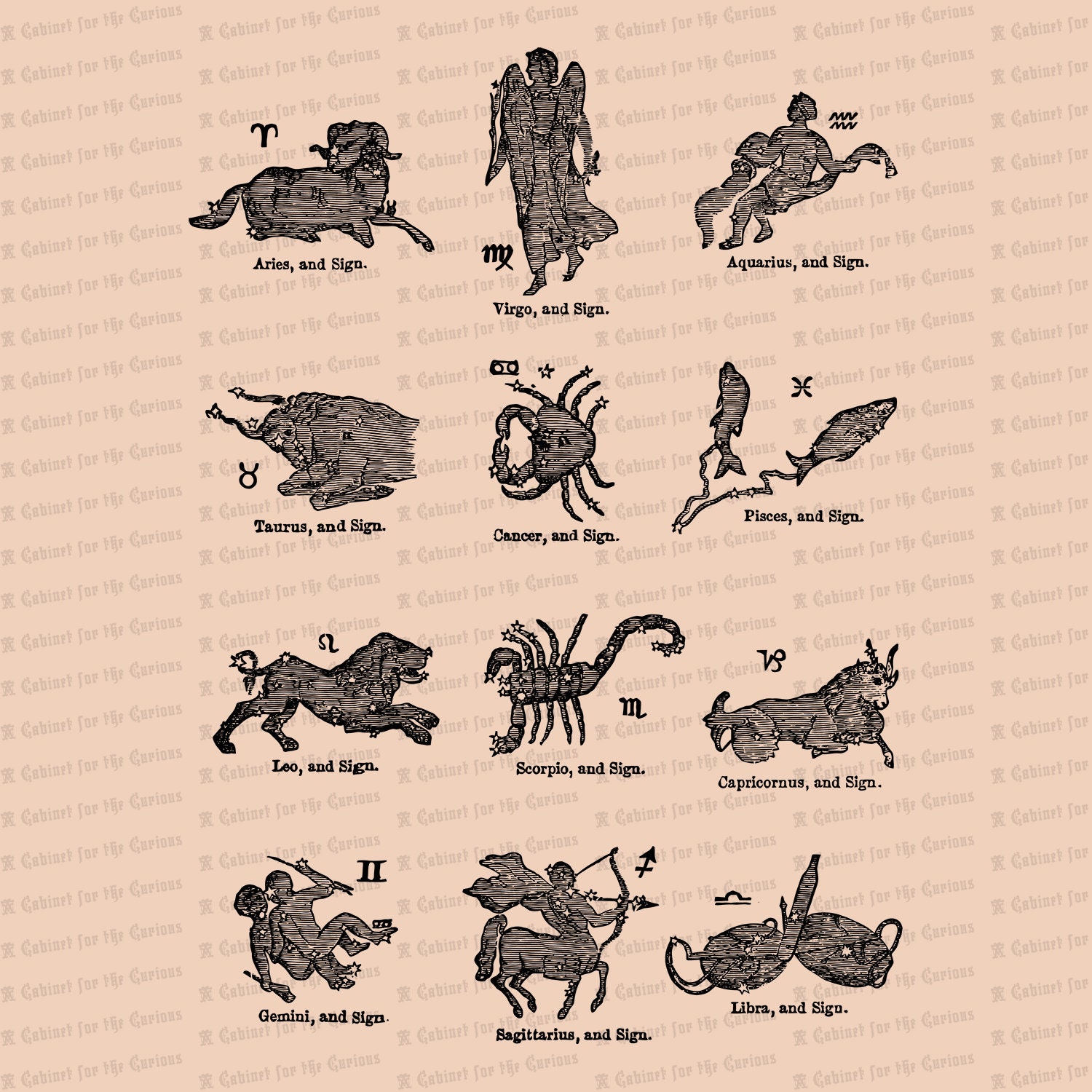 Antique Zodiac Signs Vintage Victorian Star Signs Constellations