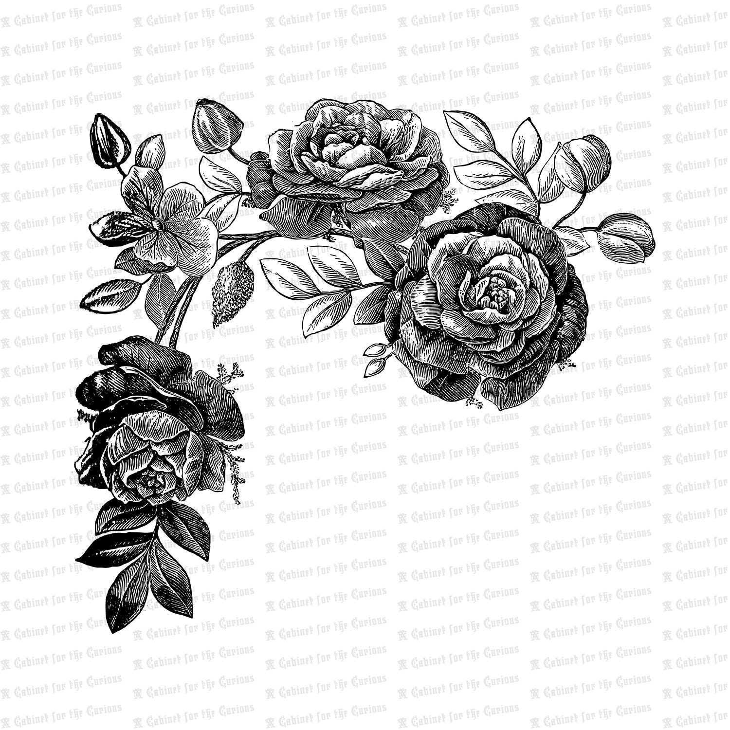 Victorian Roses Vector Clip Art Vintage Floral, Flower Instant Download ...