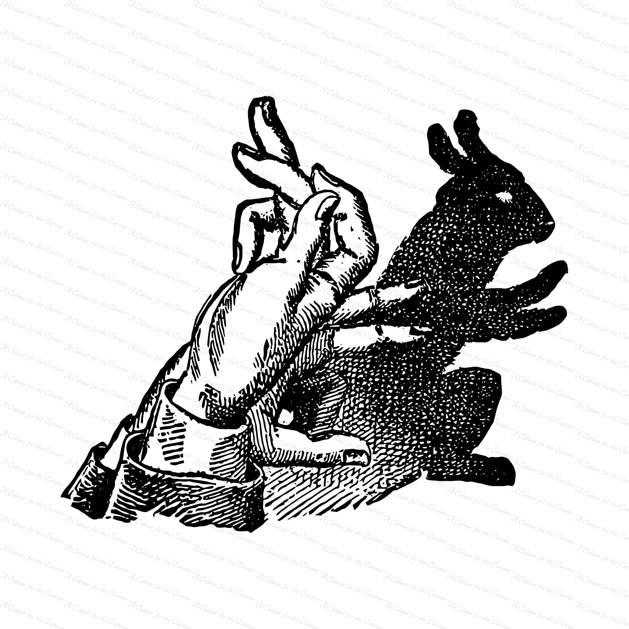 Vintage Victorian Shadow Puppet | 1890s Rabbit Shadow Vector Clipart ...