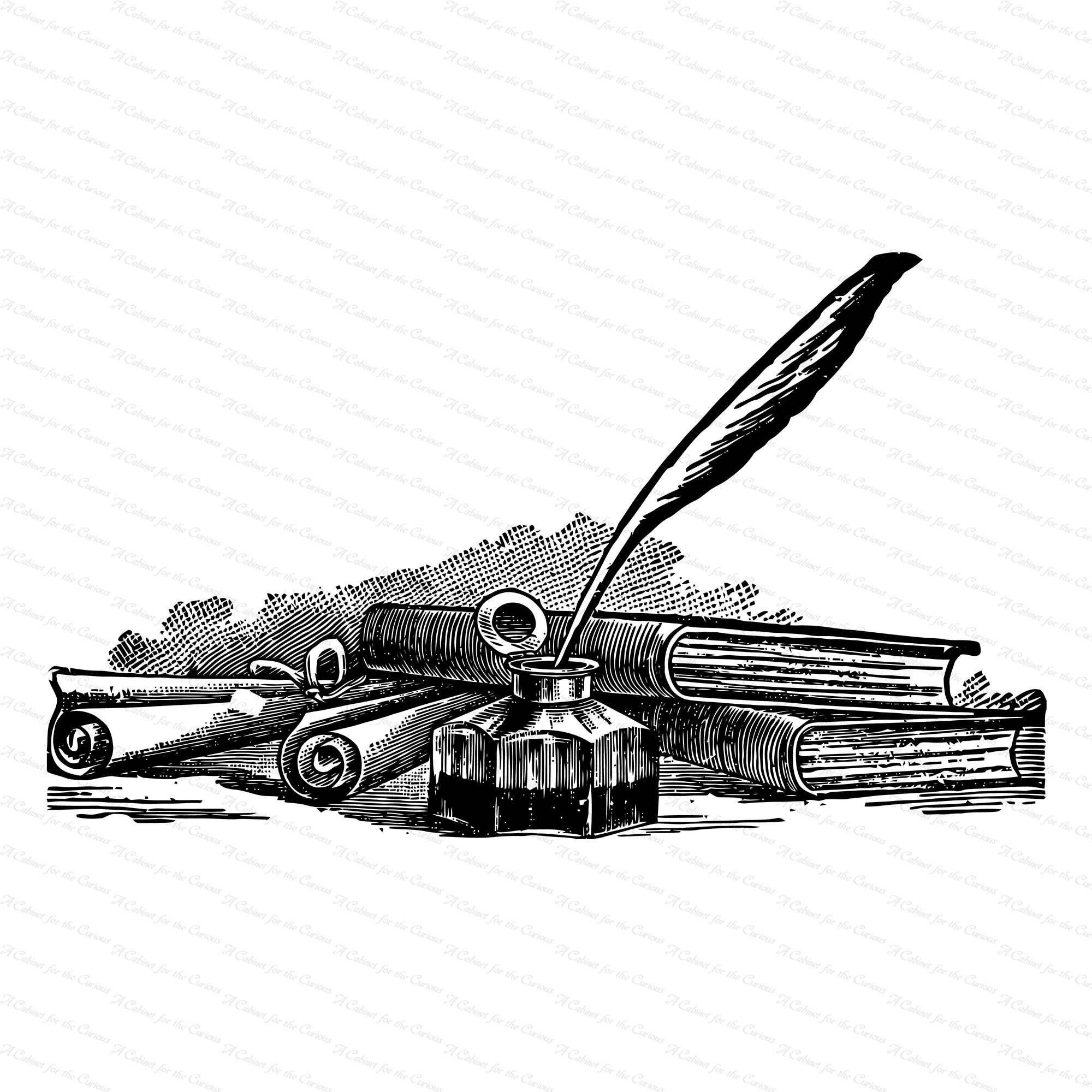 Feather Pen And Ink Drawing