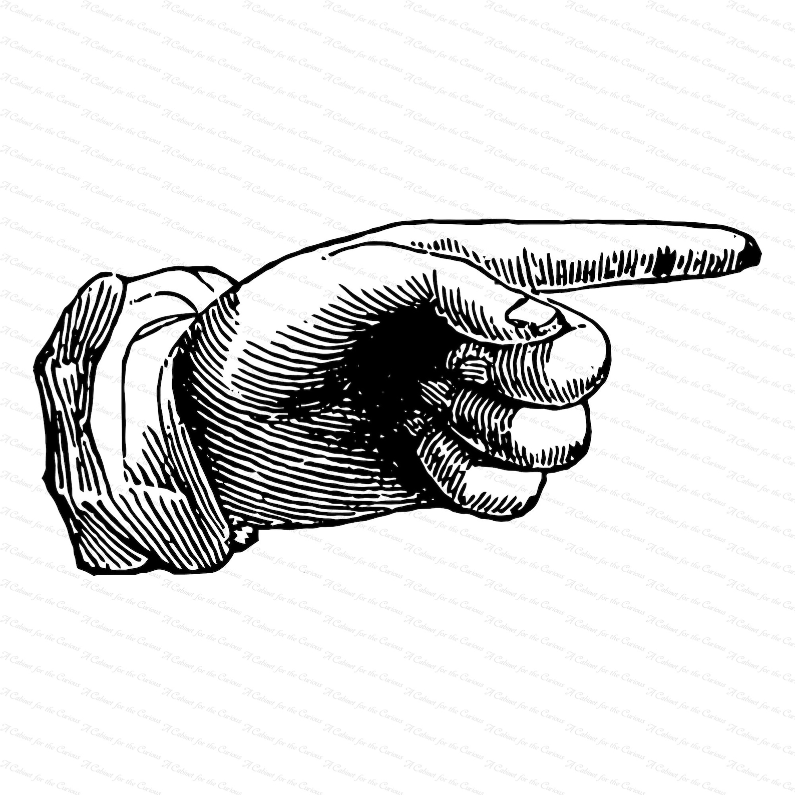 Vintage Victorian Hand With Pointing Finger | 1870s Antique Hand Vector ...
