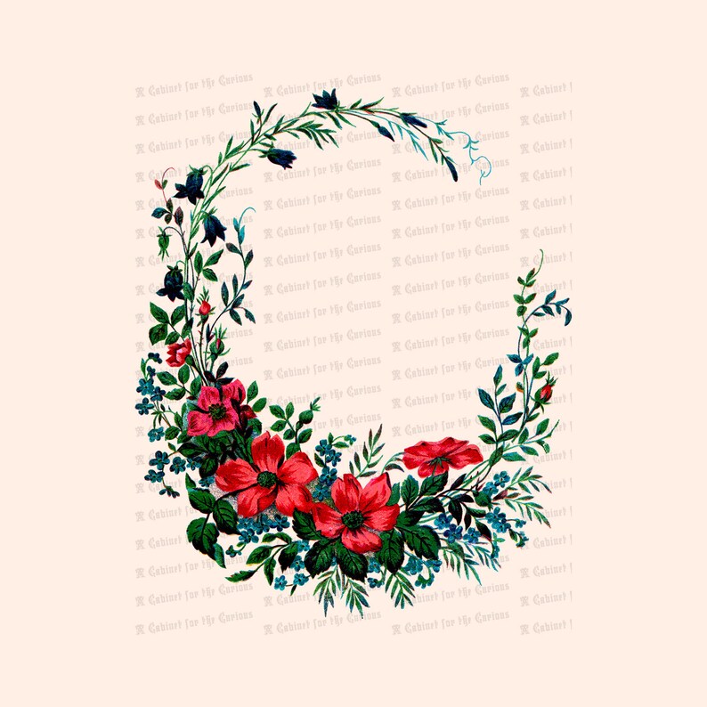 Vintage Floral Border With Poppies, Bluebells & Forget-me-nots ...