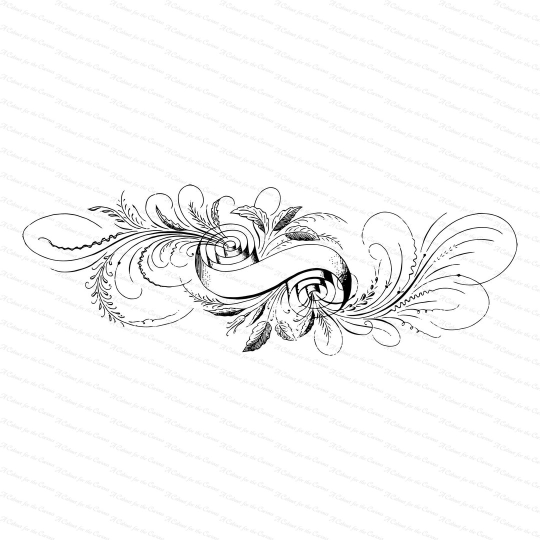 Fancy Victorian Blank Banner With Leaves, Flourishes, and Flower Vector ...