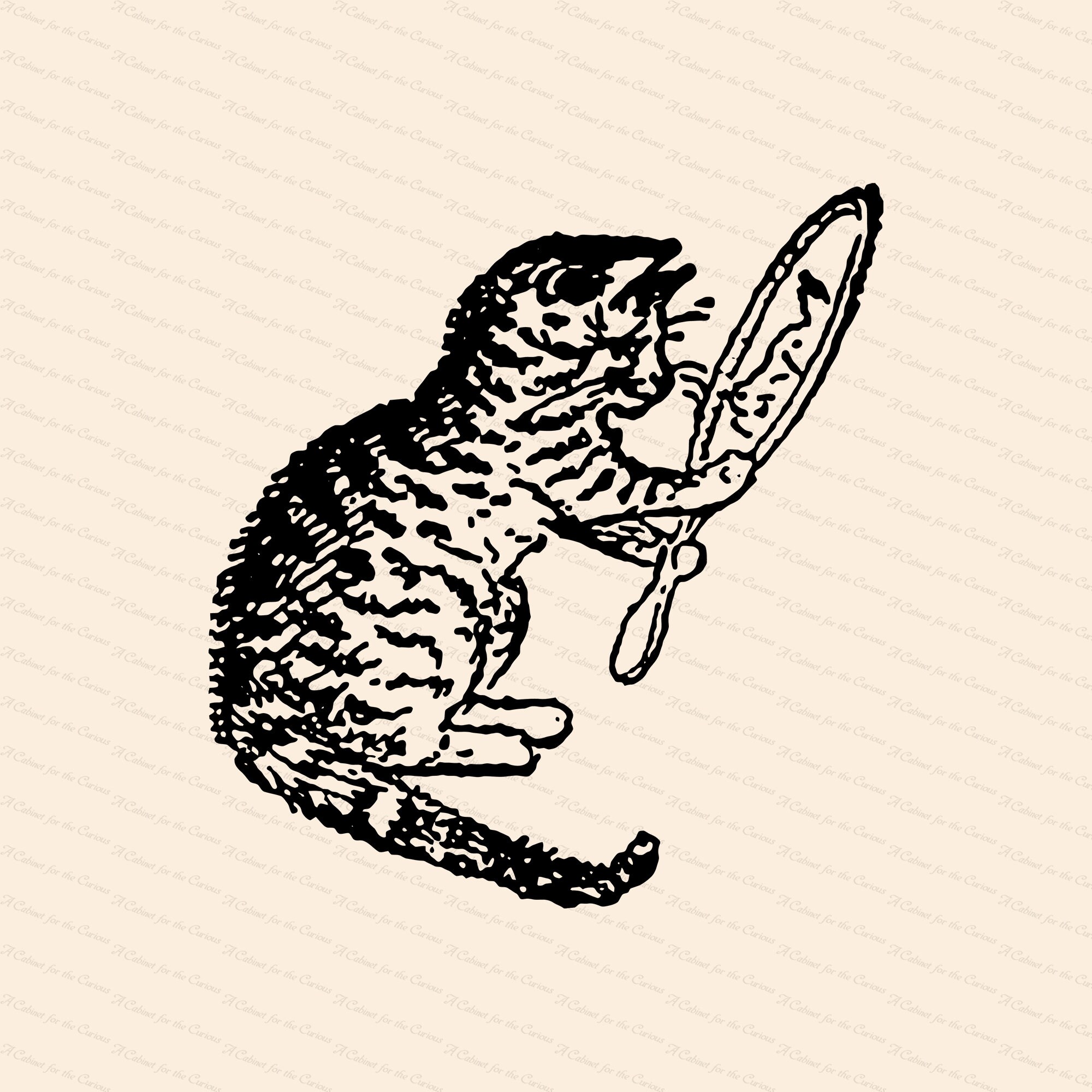 Victorian Cat With Mirror Clipart | Vintage Cat Looking Into Mirror ...