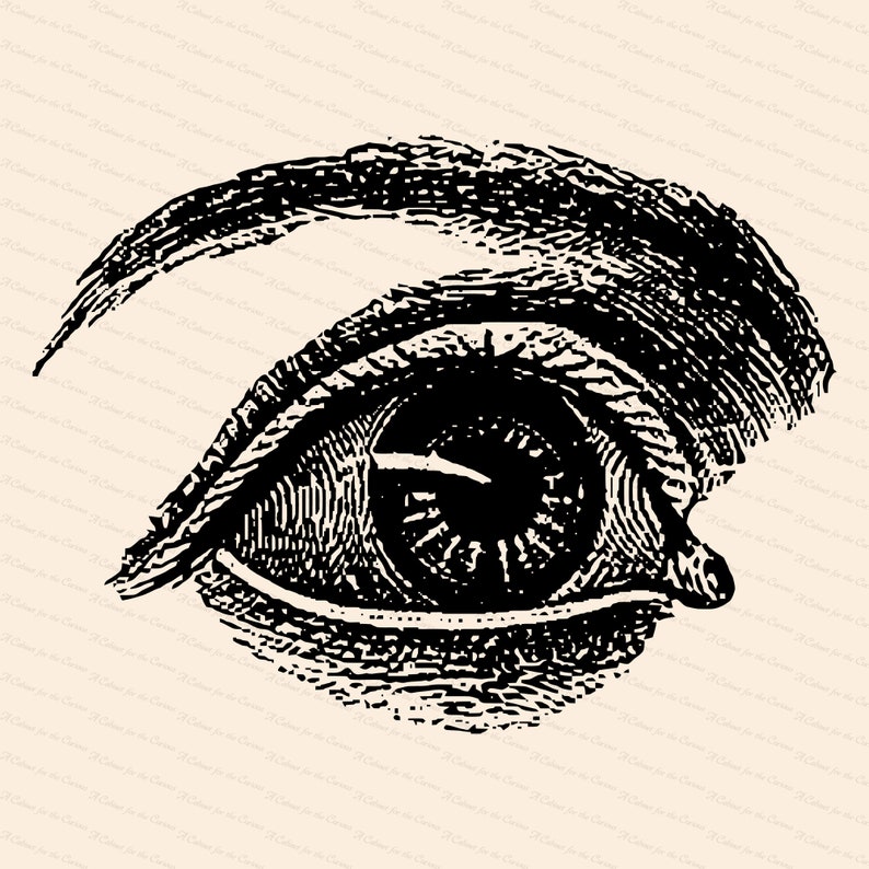 Vintage Victorian Eye Vector Clipart | Antique Human Eye Instant ...