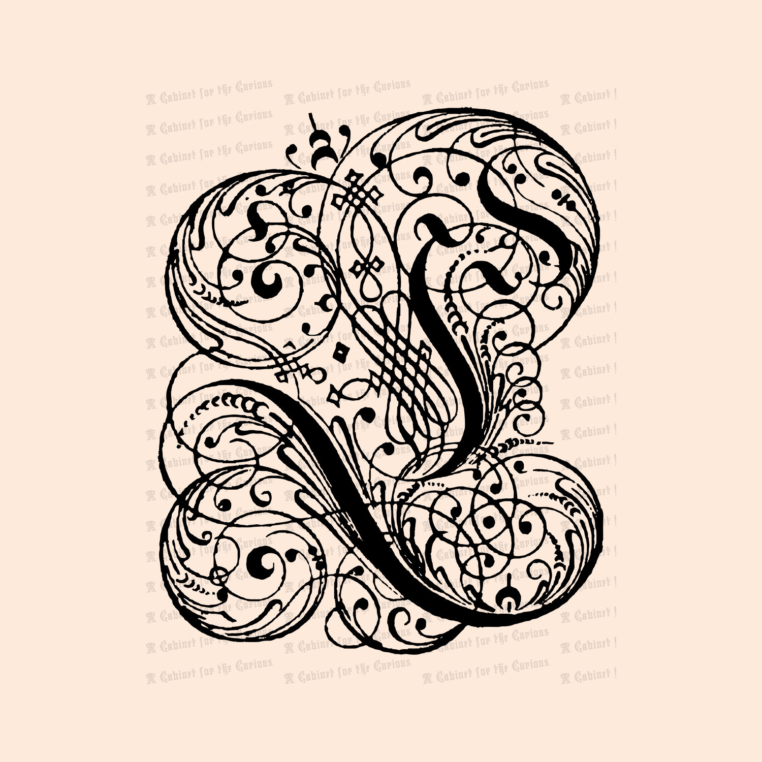 Ornamental Penwork Initial Letter L Vector Clipart Vintage Renaissance ...