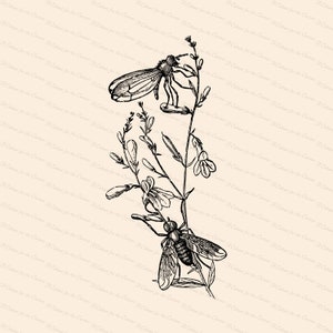 Victorian Flies and Wild Flowers Vector Clip Art | Antique Vintage ...