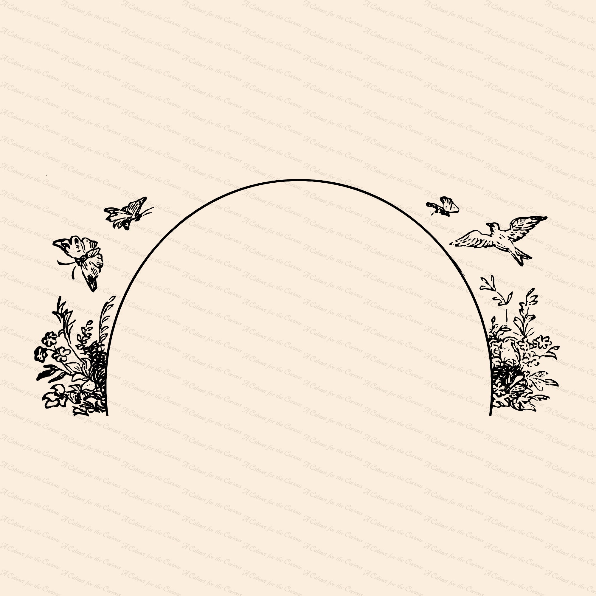 Rustic Border Clip Art