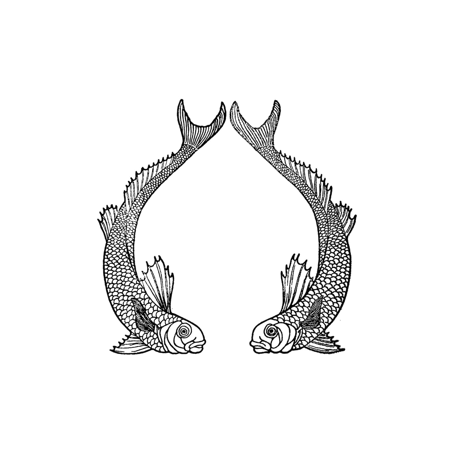 Vintage Fish Border | Vector Clipart Nautical Frame Element | Fish ...