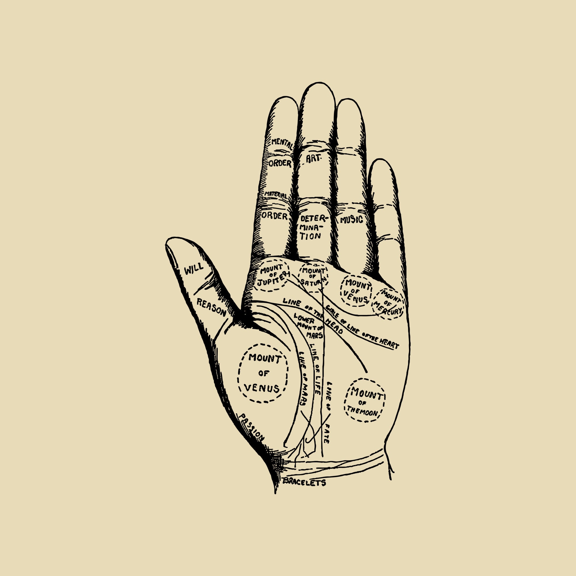 Antique Digital Palmistry Hand Vector Clipart | Vintage Chiromancy Palm ...
