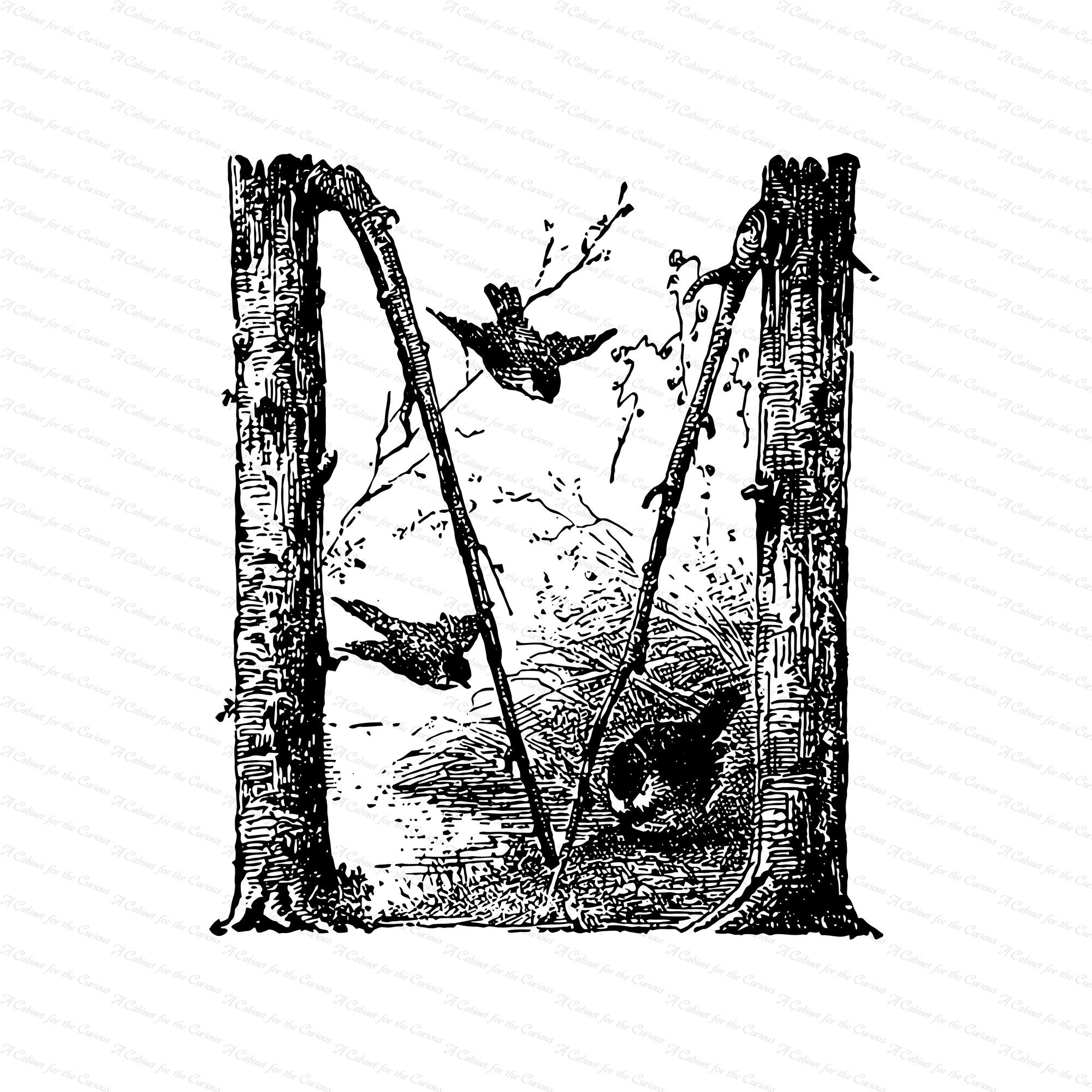 Ornamental Penwork Initial Letter M Vector Clipart | Victorian Nature ...