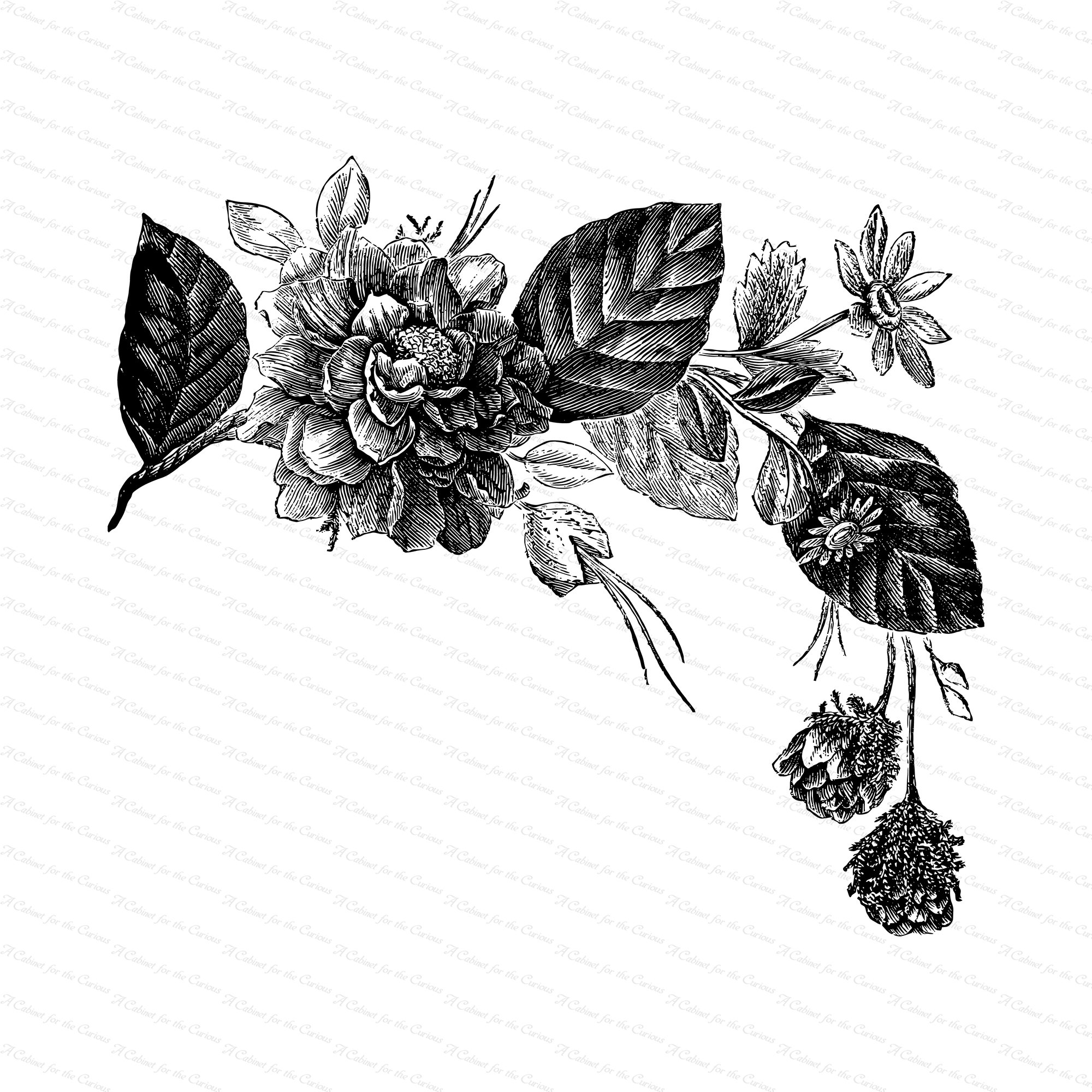 Victorian Spray of Flowers Vector Clip Art | Antique Vintage Floral ...