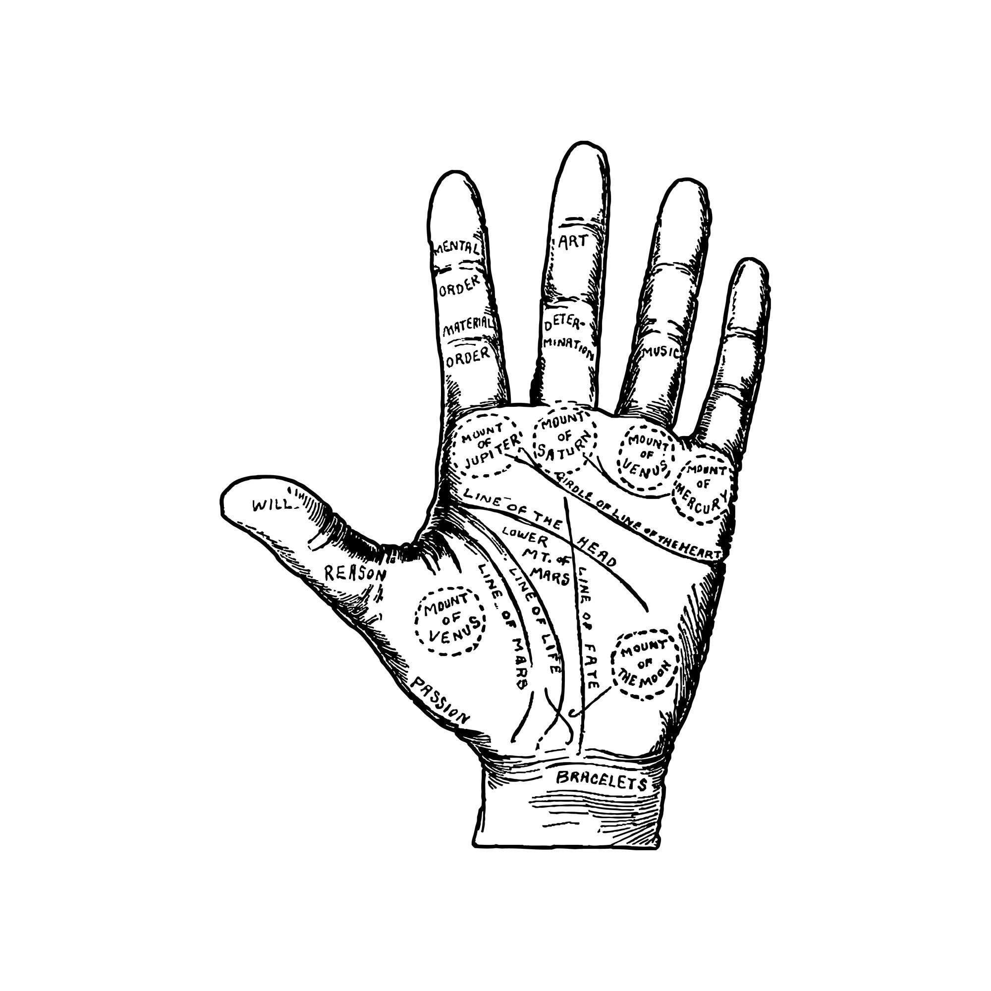 Antique Digital Palmistry Hand Vector Clipart | Vintage Chiromancy Palm ...