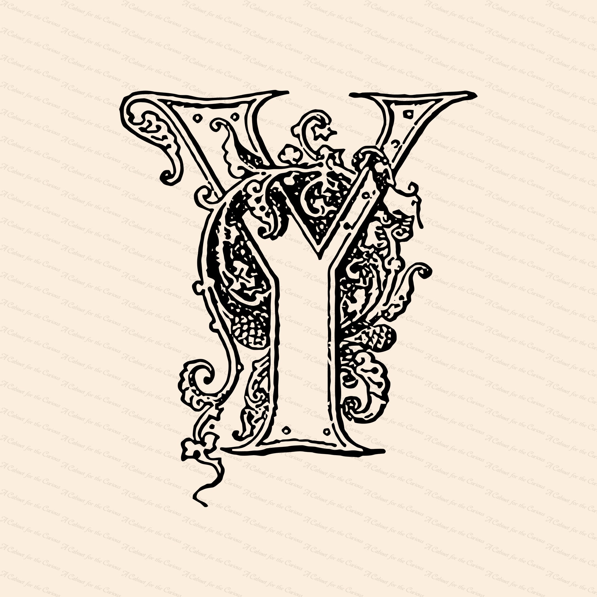 Ornamental Penwork Initial Letter Y Vector Clipart | Vintage Edwardian Capital Letter Y, Fancy ...