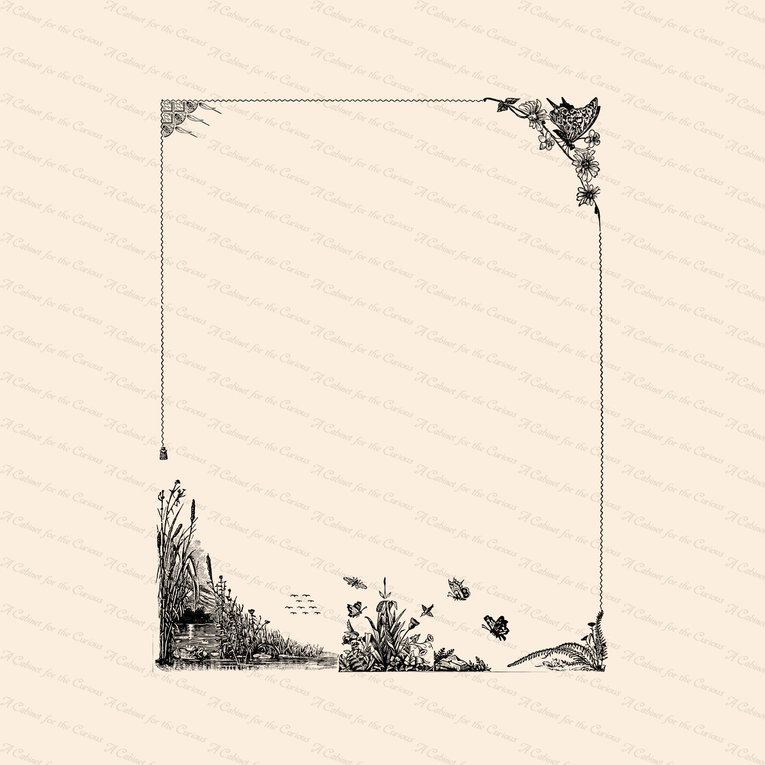 Vintage Rustic Nature Themed Border | Antique Frame With Wild Flowers ...