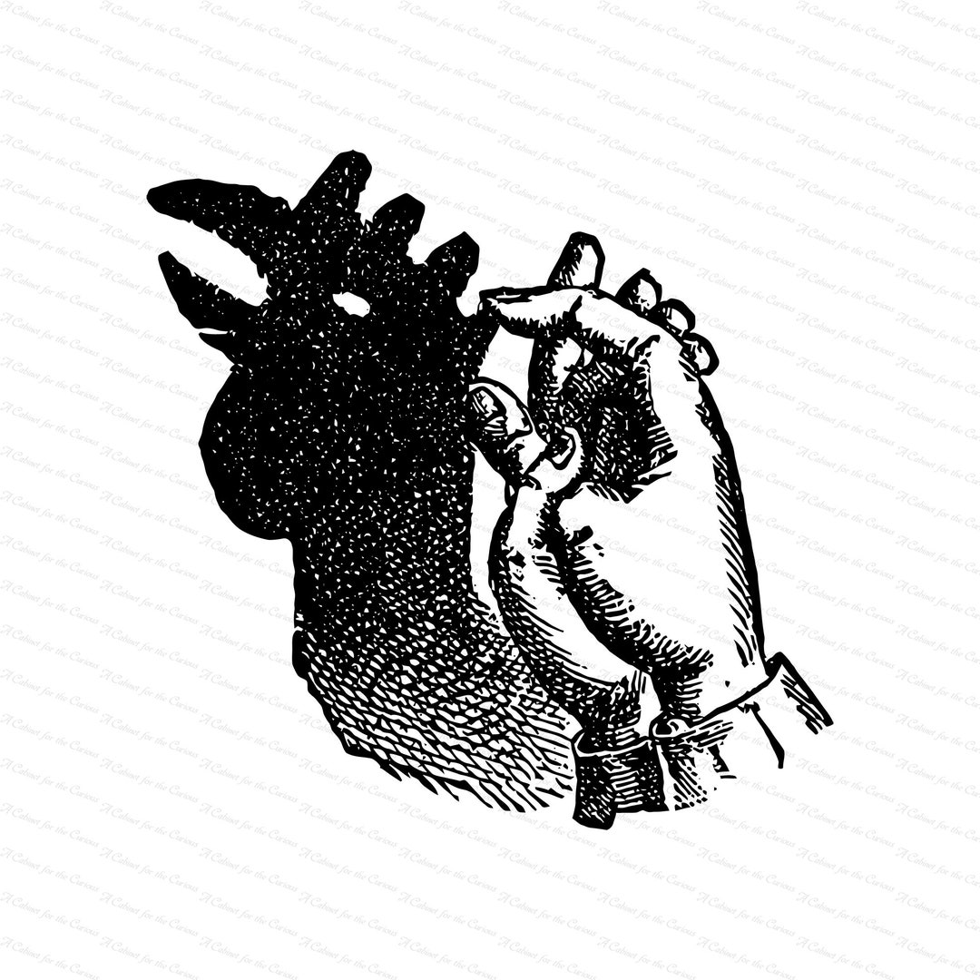 Vintage Victorian Shadow Puppet | 1890s Rooster Shadow Vector Clipart ...