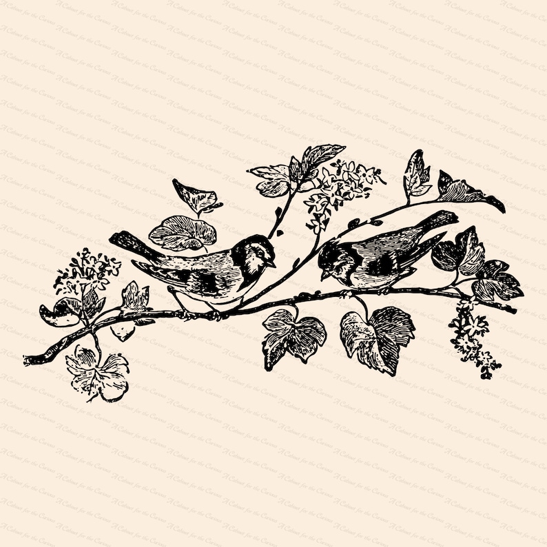 Victorian Birds on Flowering Tree Branch Vector Clipart | Antique Small ...