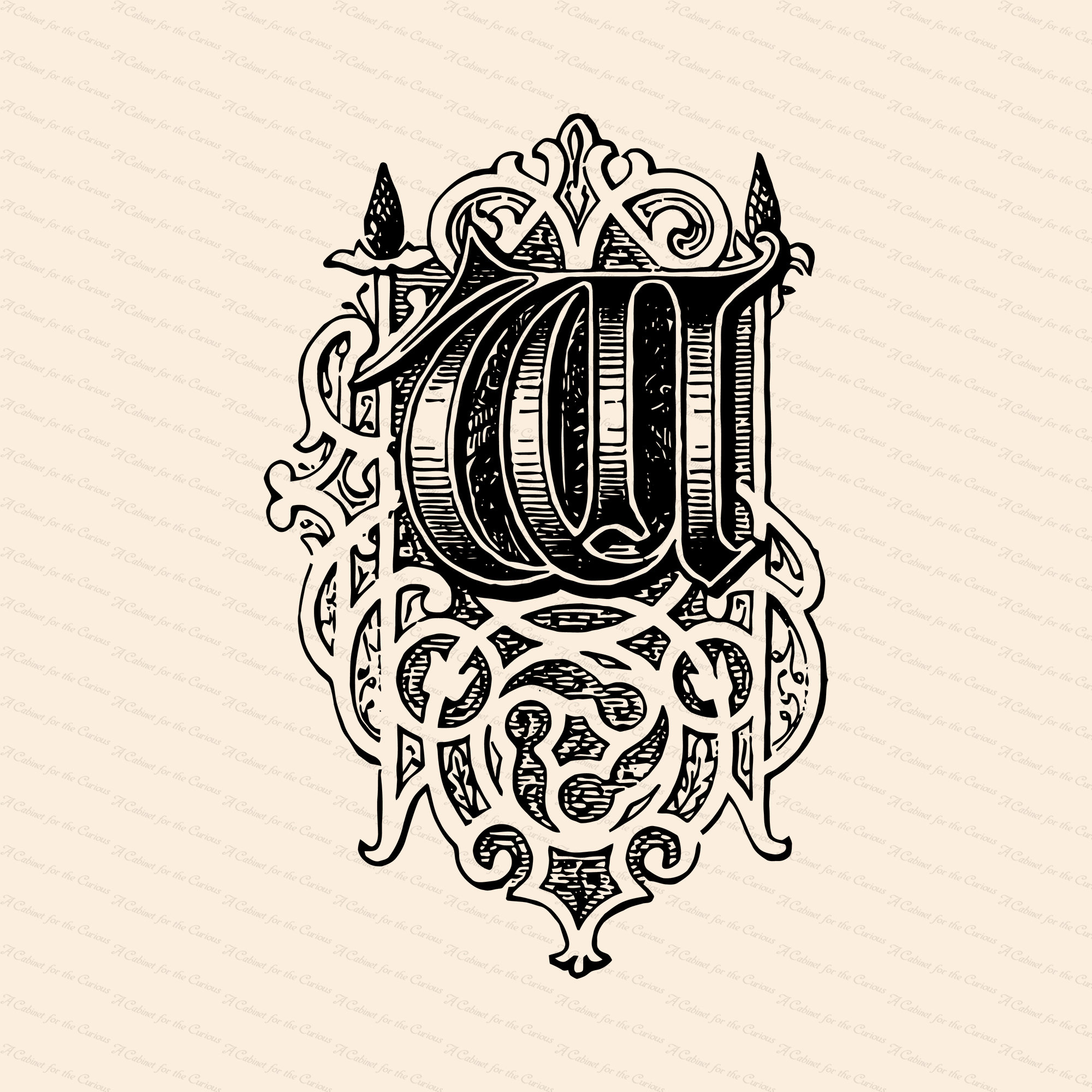 Ornamental Penwork Initial Letter W Vector Clipart | Vintage Victorian ...