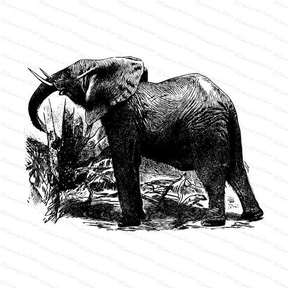 Vintage Elephant Clip Art