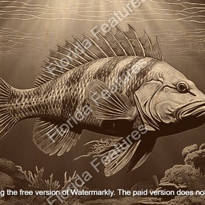 Laser Burn PNG, Lake Florida Hogfish Fishing, Carved Look, Easy Cut ...