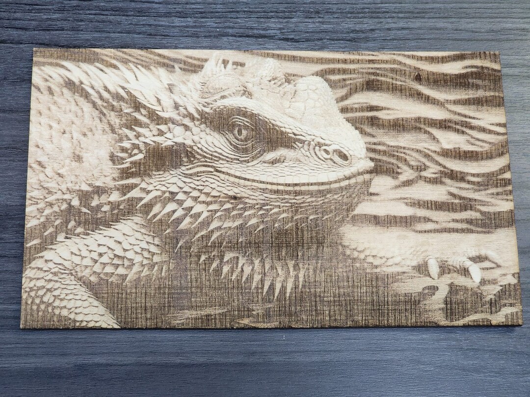 Glowforge 3D Illusion Bearded Dragon Download PNG Omtech Laser Etched ...
