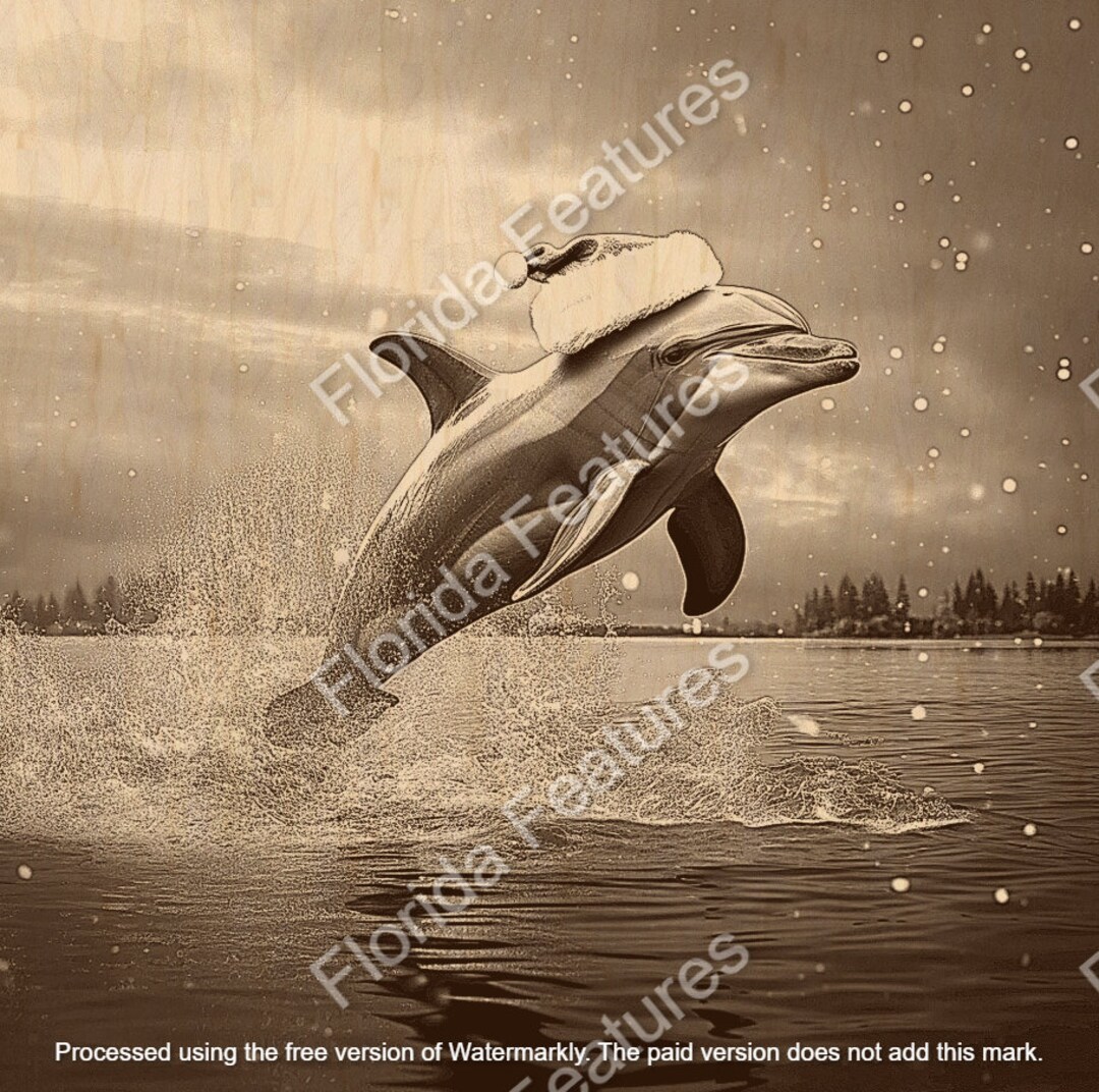 Cute Florida Dolphin Wearing Santa Hat, Laser Etch Burn Wood Files ...