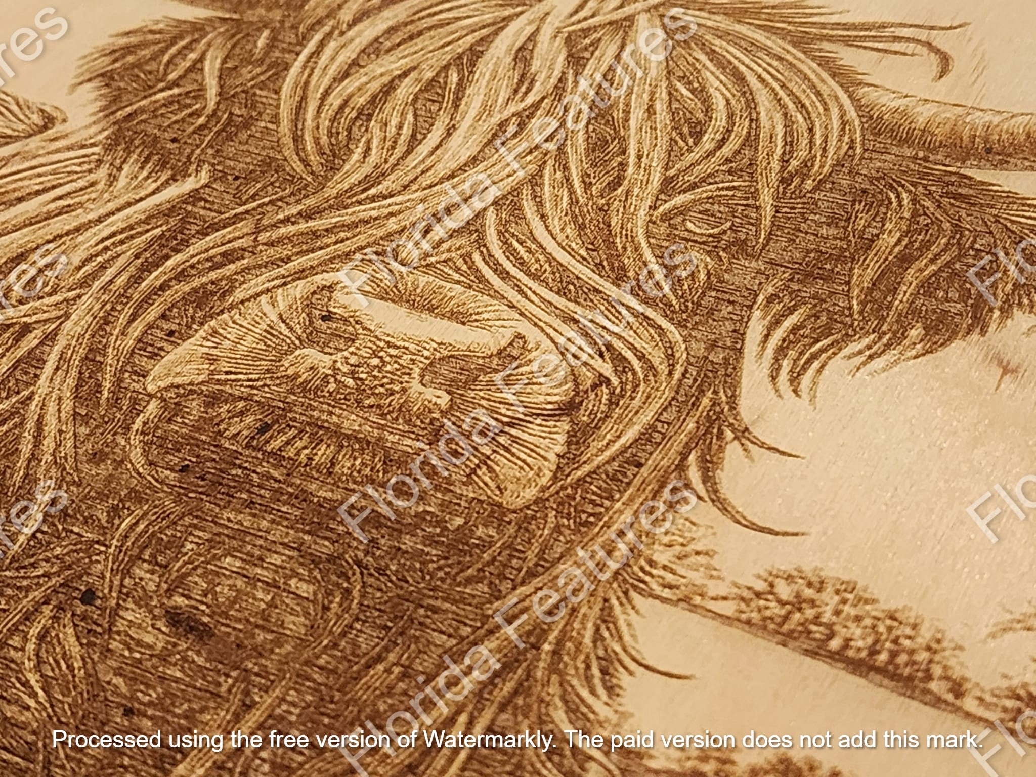 Laser Burn PNG Highland Cow Detailed Bull Etch Wood Files - Etsy