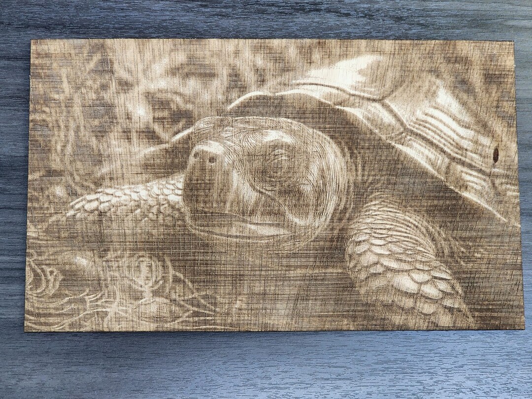 Glowforge Laser Etch Wood 3D Illusion Turtle, Omtech X1 Tool Laser ...