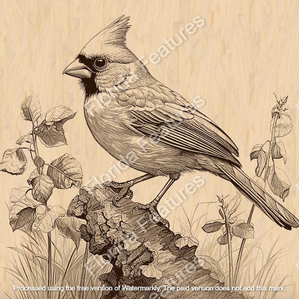 Laser Cut 3d Illusion Cardinal - Etsy