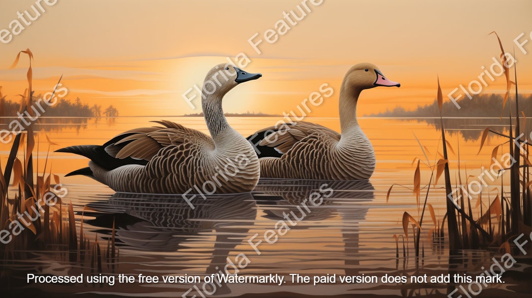 Laser Burn PNG, Florida Nature Duck Lake Pond, Carved Look, Easy Cut ...