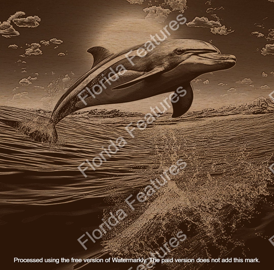 Florida Dolphin Jumping Water Fish, Laser Etch Burn Wood Files, Quality ...