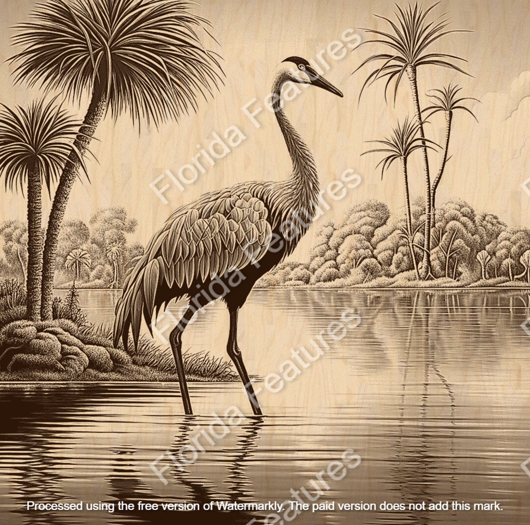 Florida Crane Water Bird, Laser Etch Burn Wood Files, Quality Digital ...