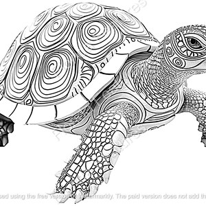 Cute Turtle Cutout, Laser Etch Burn, Reptile, Digital Download PNG SVG ...