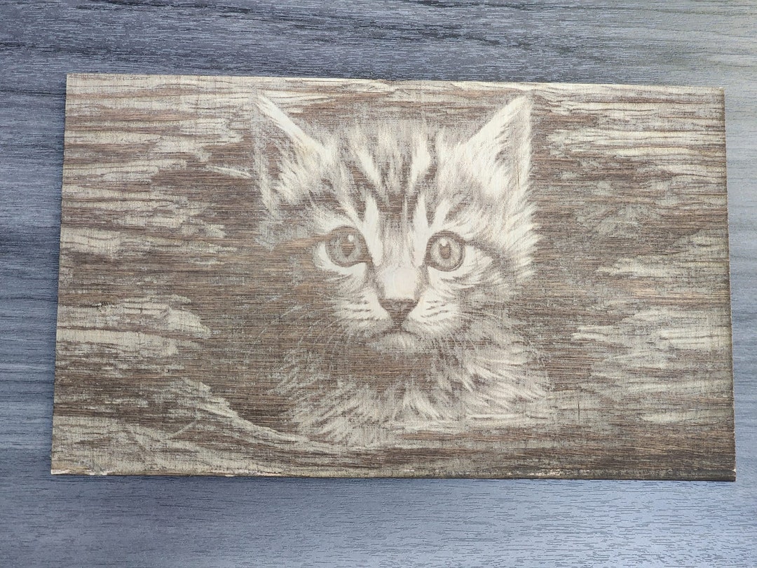 Glowforge Cat Wall Art Digital Download Kitten Laser Etched PNG SVG 3D ...