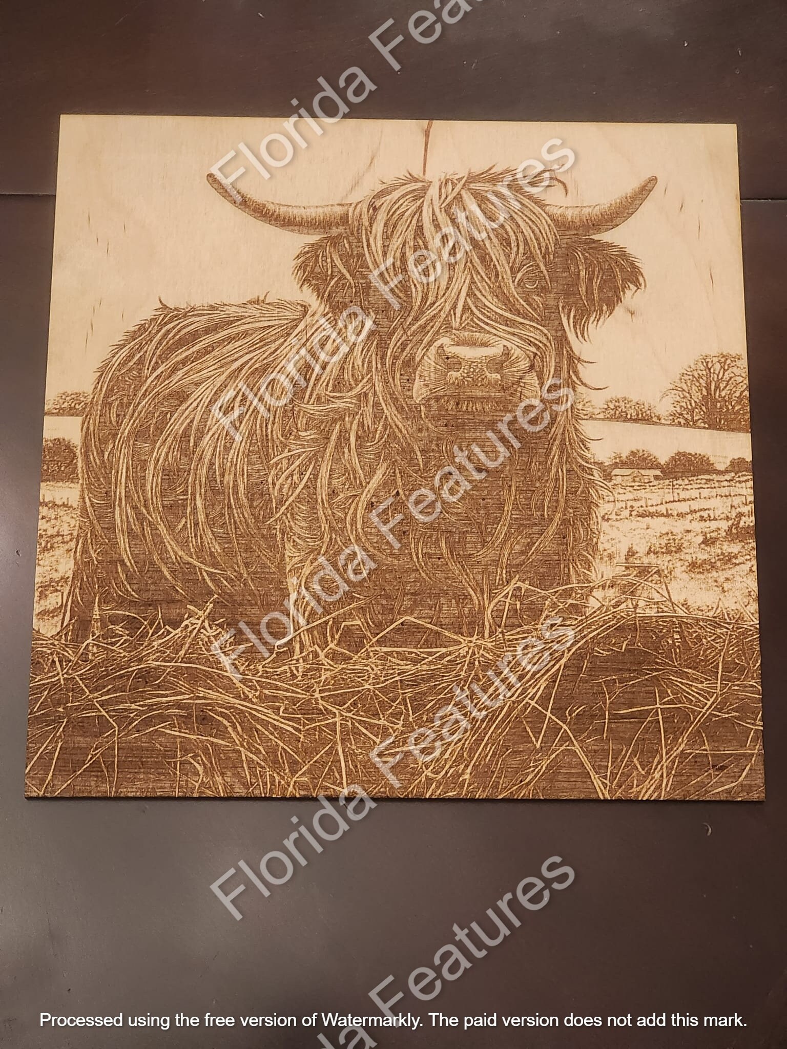 Laser Burn PNG Highland Cow Detailed Bull Etch Wood Files - Etsy