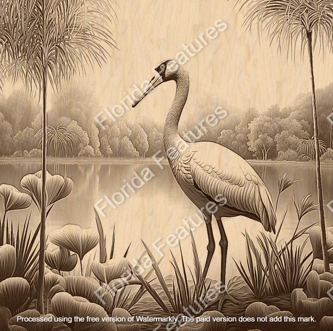 Laser Etch Burn Wood Files, Florida Wild Ibis Bird, Quality Digital ...