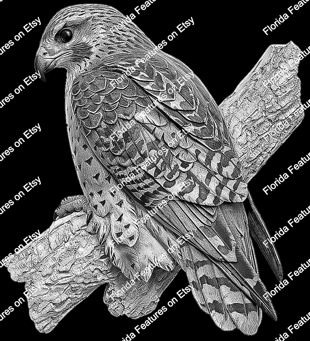 Sitting Perched Hawk | 3D Illusion | Laser Engrave PNG Digital File ...