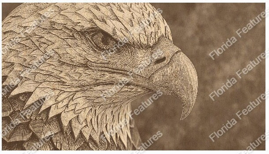 3D Bald Eagle Laser Engraving Design (PNG, SVG Digital File) - Etsy
