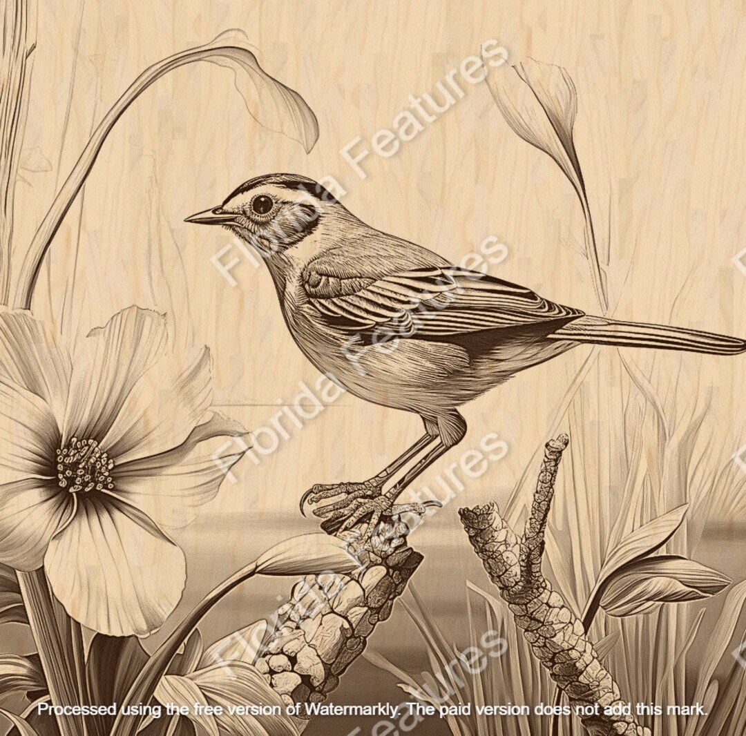 Florida American Robin, Laser Etch Burn Wood Files, Quality Digital ...