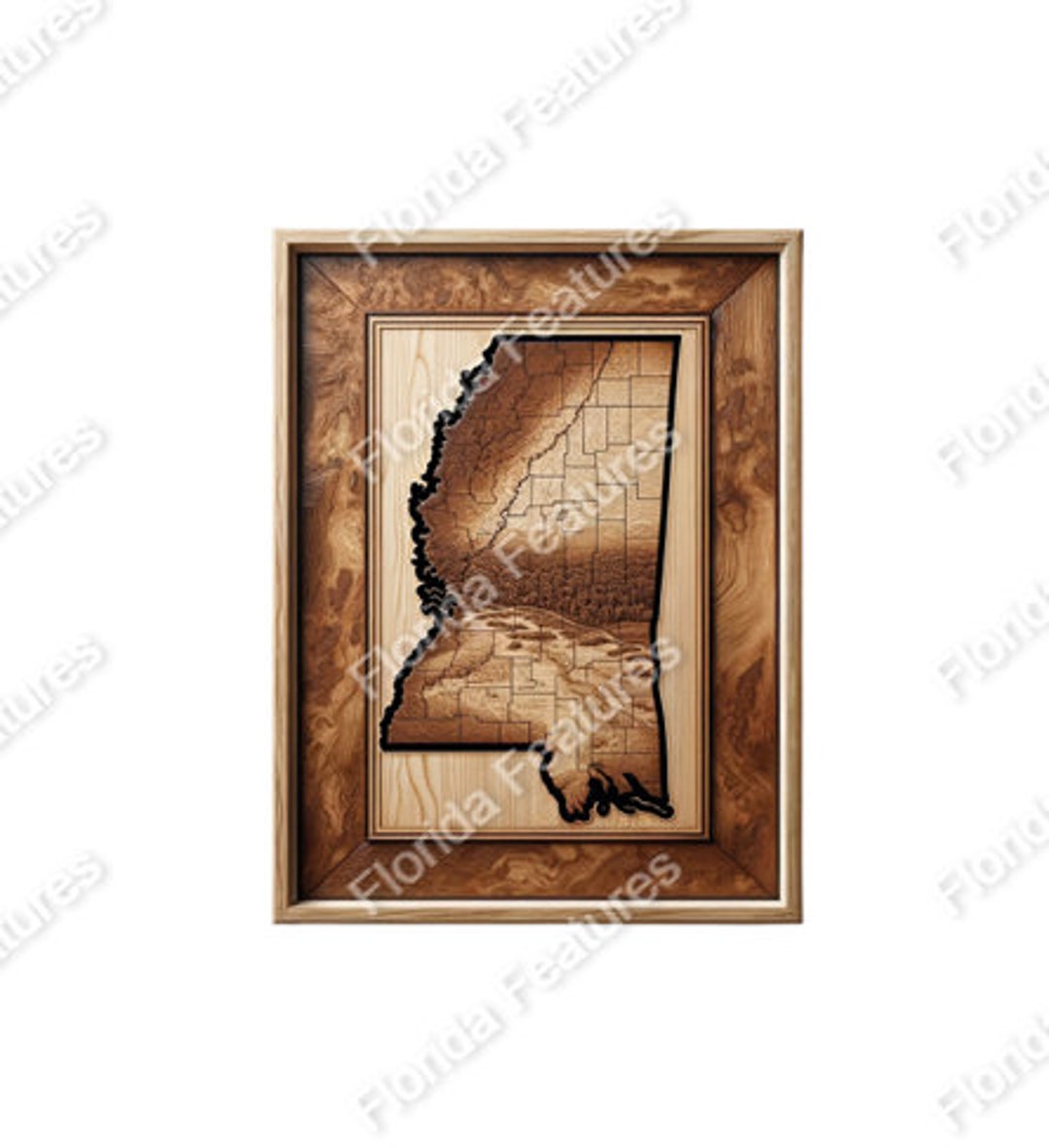 Mississippi 3D Map Picture Wood Framed State USA | 3D Illusion | Laser ...