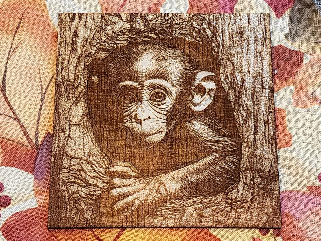 Zoo Baby Monkey in a Tree, Carved Look, Laser Burn Etch Wood Files ...