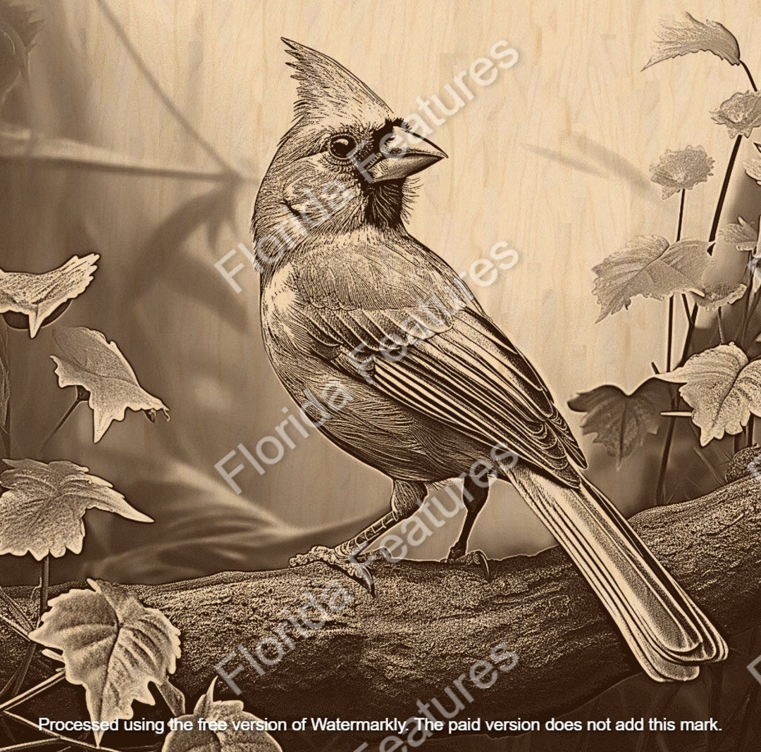 Laser Etch Burn Wood Files, Florida Northern Cardinal Bird Watcher, Quality Digital Download PNG ...