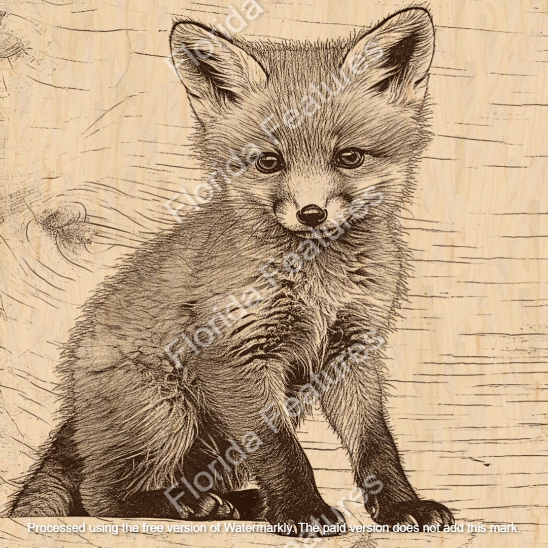 Laser Burn Etch Wood Files, Cute Baby Fox, Easy Cut Image, Instant ...