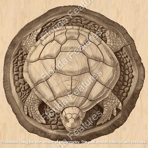 Sea Turtle, Sea Life, 300 DPI, Live Edge, Laser Etch Burn Carved Look ...